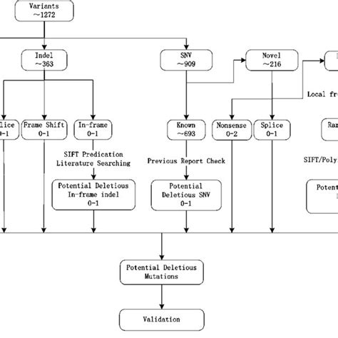 The Workflow Of Variants Interpretation Download Scientific Diagram