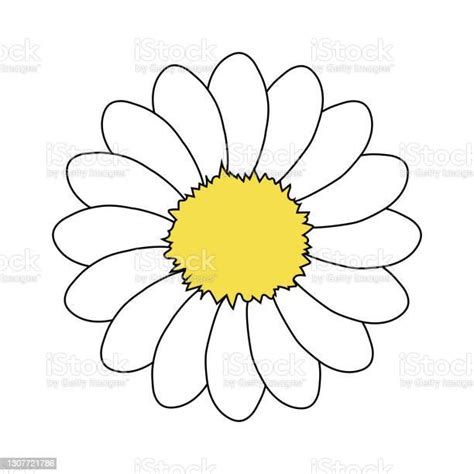 흰색 배경에 카모마일 꽃 엽서 여름 부엌 직물 인테리어 꽃 무늬 프린트에 인쇄에 대 한 귀여운 화창 벡터 그래픽 0명에 대한 스톡 벡터 아트 및 기타 이미지 Istock