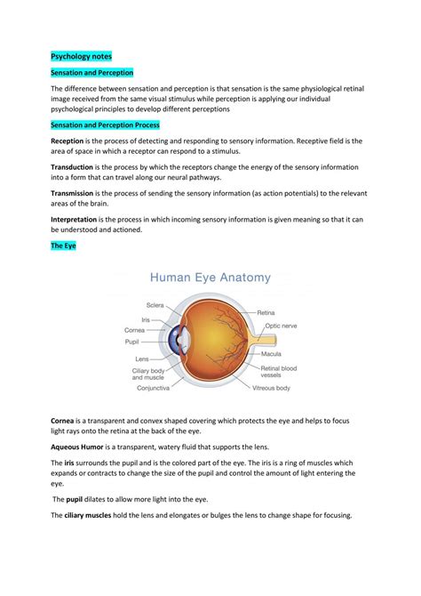 Psychology Unit 2 Summary Notes Psychology Year 11 Vce Thinkswap