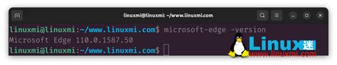 如何在 ubuntu 22 04 上安装 microsoft edge 浏览器 linux迷