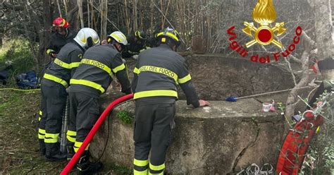 Sardegna Precipita Nel Pozzo Per Salvare Il Cane 22enne Muore A San