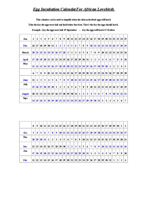 African Lovebird Egg Hatching Calendar Pdf