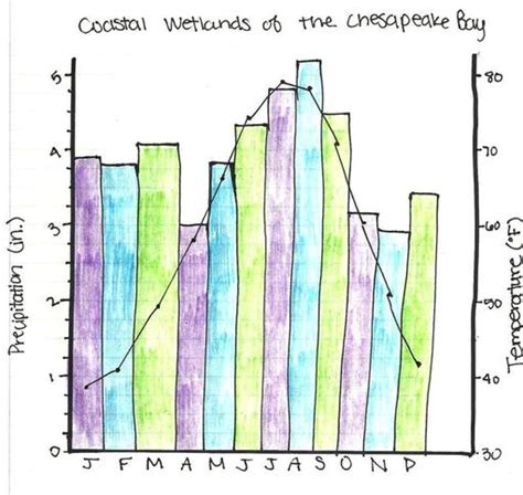 Climate Coastal Wetlands And Estuaries