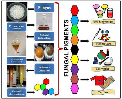 Microorganisms Free Full Text Fungal Pigments And Their Prospects