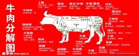 牛肉分解图设计图广告设计广告设计设计图库昵图网