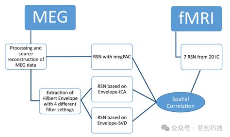利用数据驱动的meg分析方法提取fmri静息态网络 Csdn博客