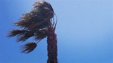 Tiempo De Catalunya Hoy Miércoles 18 De Enero De 2023 Tras El Viento