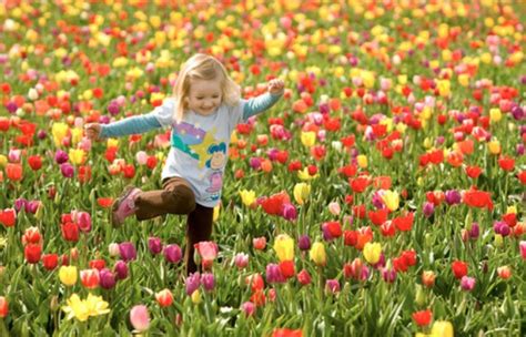 Cuánto sabés de la primavera la estación preferida del año