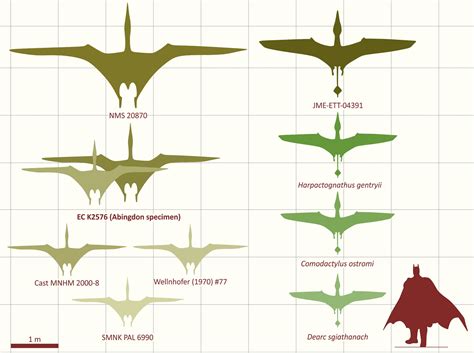 Jurassic Pterosaur Had Wingspan Of At Least Ten Feet Scinews