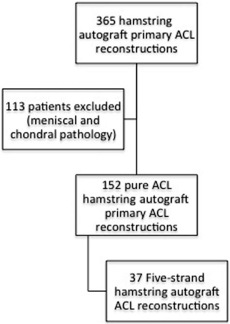 Study Flowchart Acl Anterior Cruciate Ligament Download Scientific Diagram