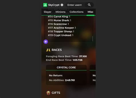 arc problems · issue 577 · skycryptwebsite skycrypt · github