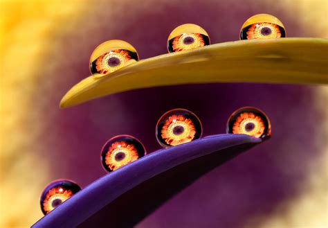 Water Droplet Refraction Photography Photonews Magazine