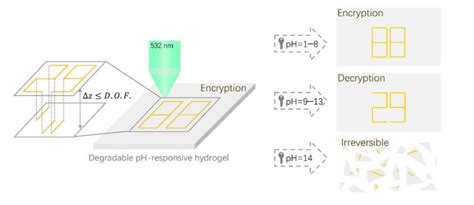 Scheme 1 Schematic Illustration Of Degradable Ph Responsive Hydrogel Download Scientific