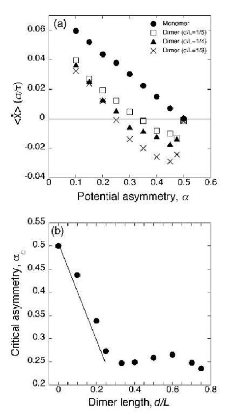 Brownian Dynamics Simulations A Average Velocity As A Function Of α