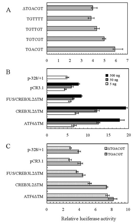 Analysis Of The Cre Binding Site A Site Directed Mutagenesis Was Download Scientific Diagram