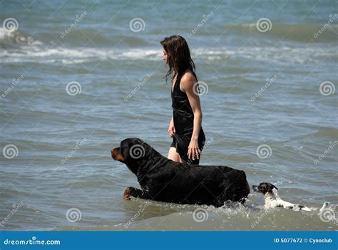 Mujer Y Perros En El Mar Foto De Archivo Imagen De Caminar 5077672