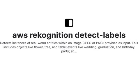 Aws Rekognition Detect Labels Fig
