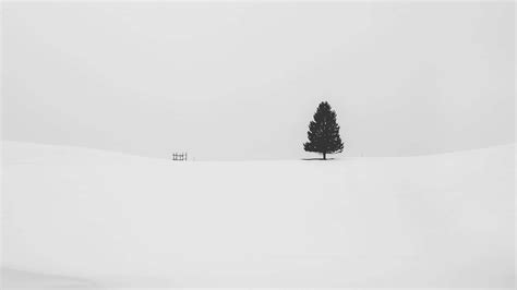 100 Fondos De Fotos De Minimalista En Blanco Y Negro Wallpapers