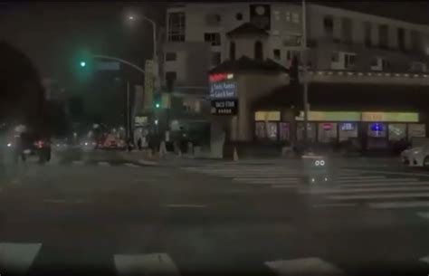 Tesla Fsd Does Not Hit Delivery Robot The Last Driver License Holder…