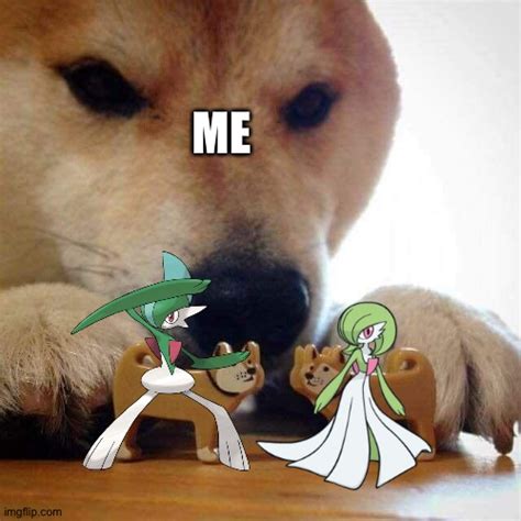 Gallade And Gardevoir Breeding