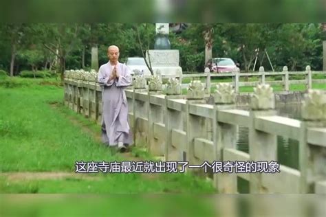 为啥放生池这么小却不会被放满？把池水抽干，眼前大物让人惊呆了放生池池水
