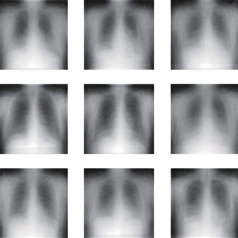 Visualization Of Samples With Ground Truth Bounding Boxes Across Sample Download Scientific