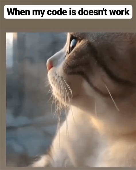 help my code is doesn t work engrish