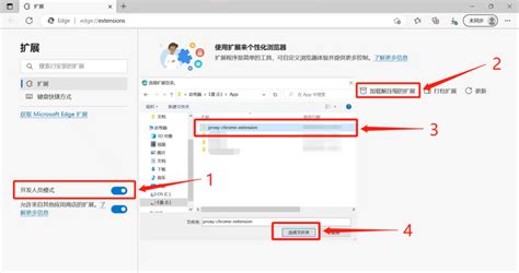 Microsoft Edge浏览器 Proxy302插件