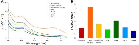 Analysis Of Fe S Cluster Occupancy Of Isph Protein Obtained By