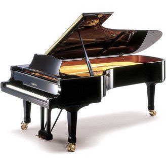 Total Piano Care Your Resource For Complete Piano Care