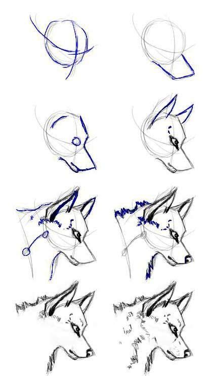 Cabeza De Un Loboperro Furry Drawing Eye Drawing Drawing Tips