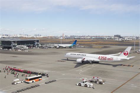 【注目された飛来機情報】青＆ピンクのジンベエ岩手へ！jalフラッグシップ就航など Flyteam ニュース