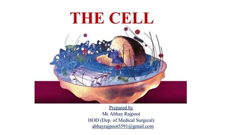 Structure Of A Human Cell Pptx