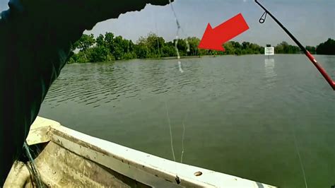 Ganas Tarikannya Sampai Bikin Senar Putus Mancing Ikan Muara YouTube