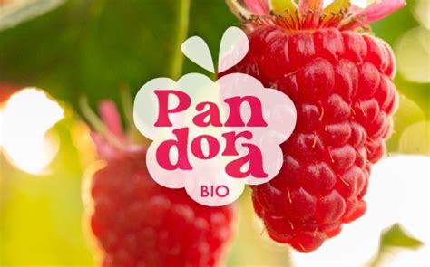Pandora Organic Raspberry Great Size In The Premium Segment