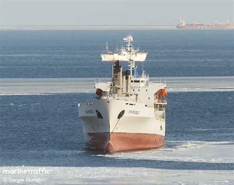 Invincible Ship Photos Ais Marinetraffic