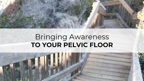Bringing Awareness To Your Pelvic Floor