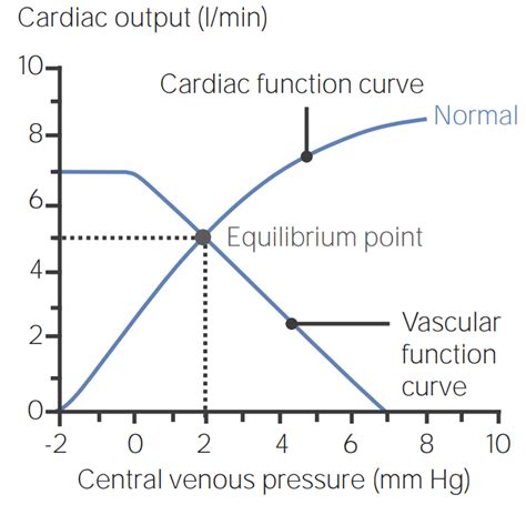 Venous Function Concise Medical Knowledge