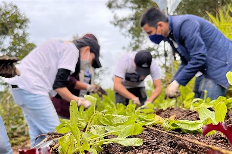 Article How Paypal Is Supporting An Equitable Climate Transition