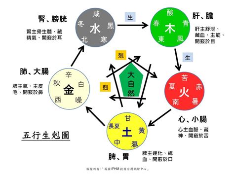 中醫經絡理療 國際證照班