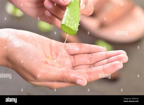 Closeup Of Extracting Aloe Vera Gel From Slice Stock Photo Alamy