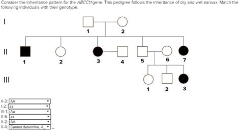 Solved Consider The Inheritance Pattern For The Abcc11 Gene This