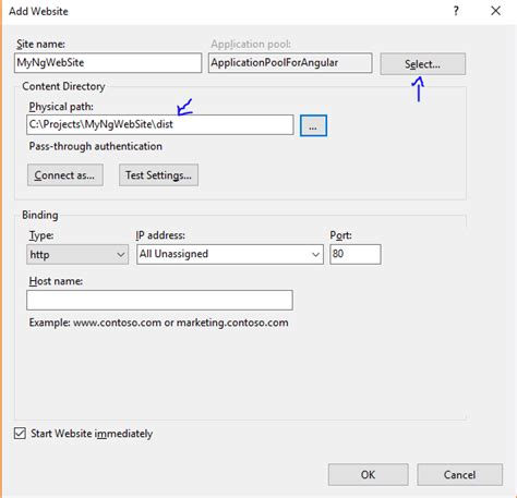 Angular And ASP NET Core The Blinking Caret