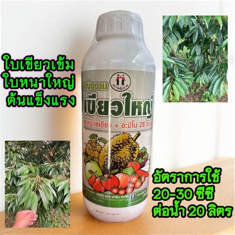 หญิงงาม เขียวใหญ่ 1 ลิตร สาหร่าย อมิโน 28 ชนิด เขียวใหญ่ ใบหนา Shopee