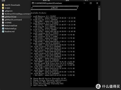 黑苹果补充MacOS镜像提取Recovery制作恢复盘