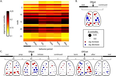 Eigenvector Centrality Across Behavior Periods A Average Eigenvector
