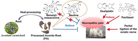 Graphical Abstract [image] Eurekalert Science News Releases