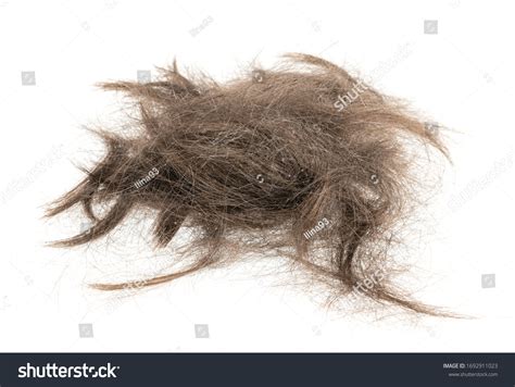 Tuft Of Her Hair