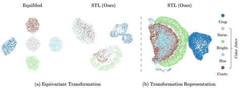 [论文审查] Self Supervised Transformation Learning For Equivariant