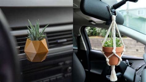 Cultivar Plantas Dentro Del Carro Cómo Seguir La Nueva Tendencia Ecológica